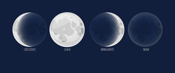Calendário de Pesca 2024! Veja como as Fases da Lua pode Influenciar ...